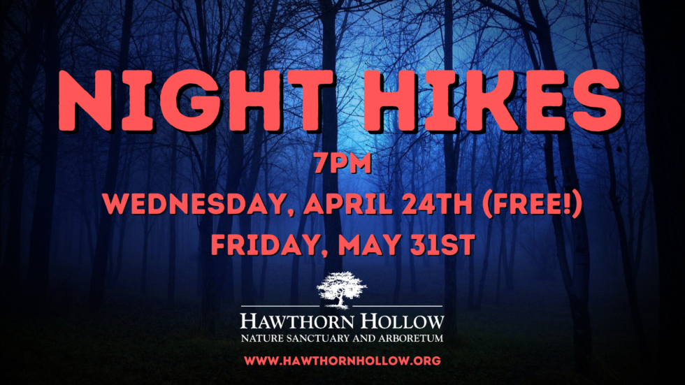 Night Hikes | Hawthorn Hollow Nature Sanctuary & Arboretum